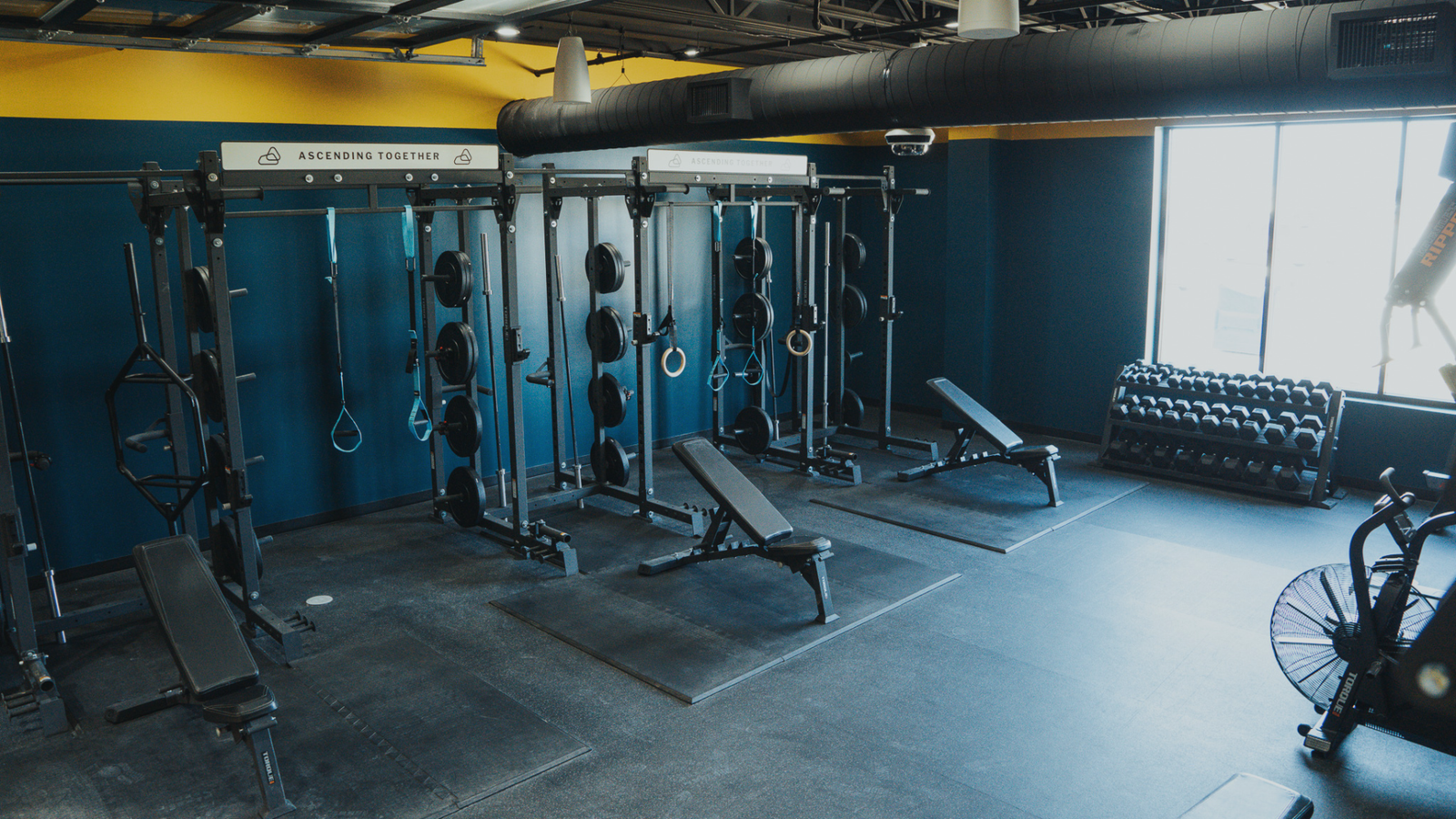 Fitness Classes & Programs - Basin Climbing and Fitness