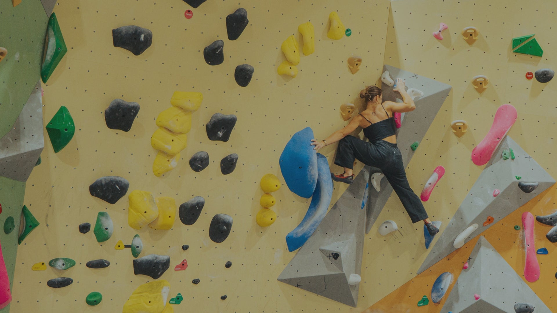 Climbing Gym Memberships - Basin Climbing and Fitness